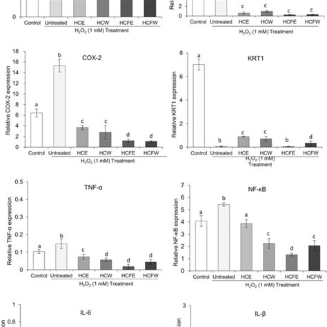 Quantitative Gene Expression Analysis Qpcr For The Effect Of H