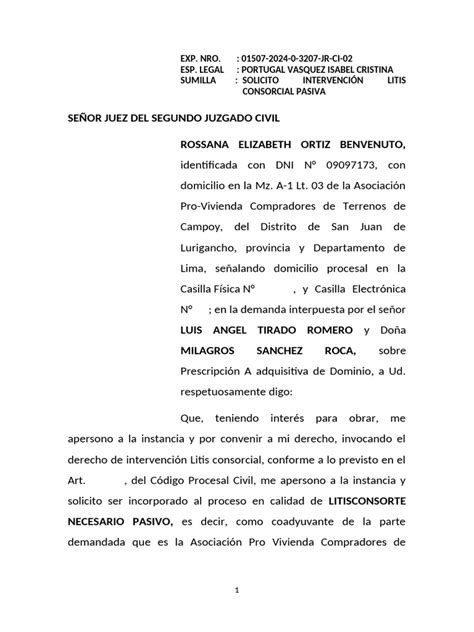 Solicito IntervenciÓn Litis Consorcial Pasiva Pdf