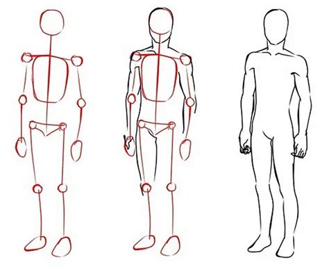 Cómo Dibujar Cuerpos De Dibujos Animados