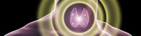 New Guidelines On Hyperparathyroidism Published Sapienza Università