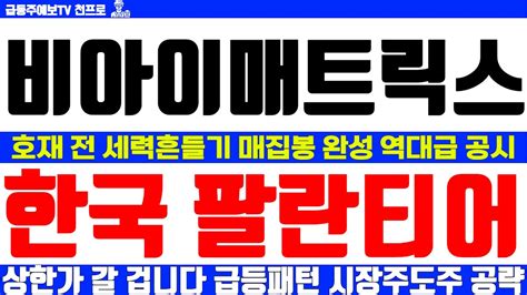 비아이매트릭스 주가전망 긴급속보 신고가 돌파 최소3배 세력흔들기 역대급 공시확보 한국의 팔란티어 초대박 상한가 갈겁니다 급등패턴 시장주도주 공략 인수합병 풀매수 급등주