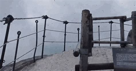 정상에서 김밥은커녕 줄행랑 이번엔 북한산 습격한 러브버그떼 [영상]