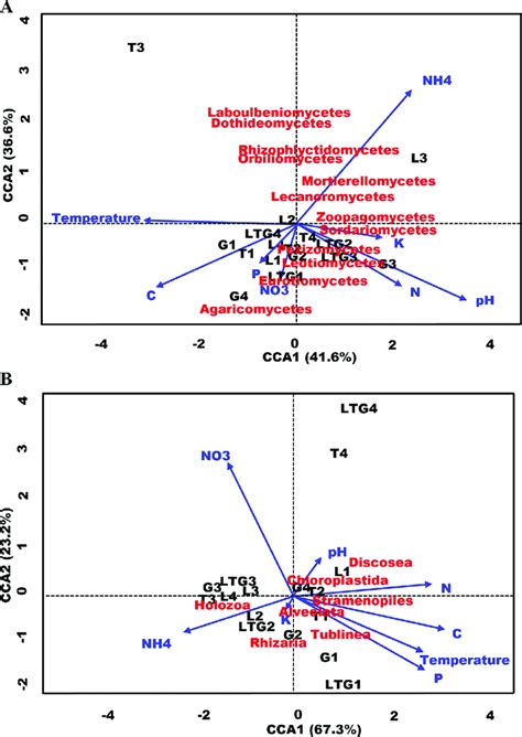 a b canonical correspondence analysis cca plots showing the effect