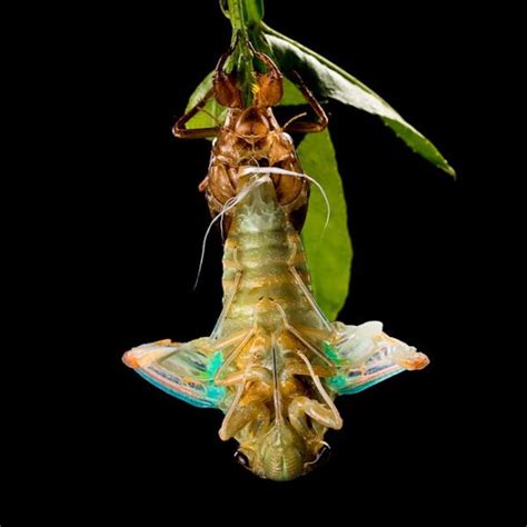 What Is Design Process Transformation Logomakershop Glossary