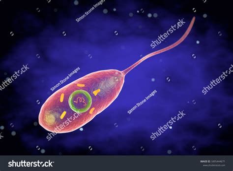 7 235 Cholera Royalty Free Photos And Stock Images Shutterstock