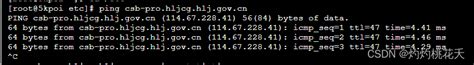 linux之 服务器ping百度能通，ping其他网址不通 linux ping 百度可以 ping其他 csdn博客