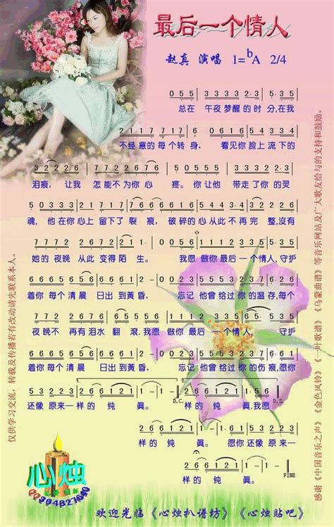 最后一个情人简谱 赵真演唱 简谱网