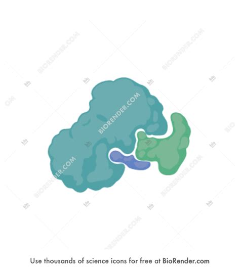 Free Bcr Abl Complex With Substrate Tki Icons Symbols And Images