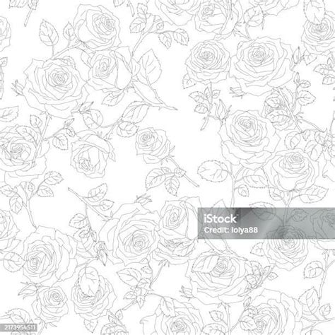 장미로 완벽 한 흑백 꽃 패턴을 스케치합니다 텍스타일 디자인과 시크하고 현대적인 장식에 적합합니다 윤곽선 단색 꽃 검은색에 대한 스톡 벡터 아트 및 기타 이미지 Istock