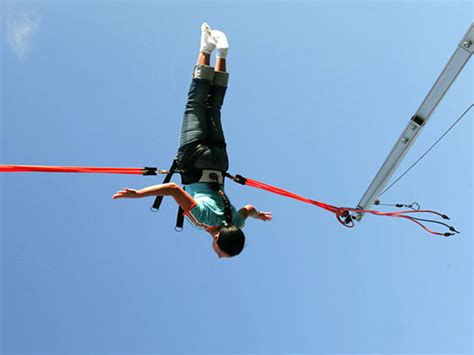 Air Tramp – tema-berlin