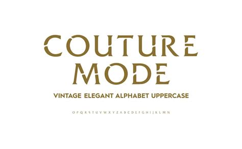 우아함 알파벳 세리프 글꼴 및 숫자 클래식하고 미니멀한 타이포그래피 패션 프리미엄 벡터