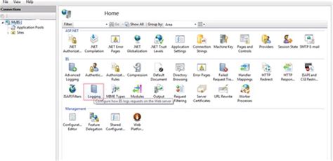 Look At Logging In Iis 7 And Iis 7 5