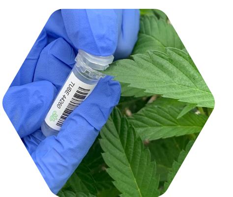 Plant Pathogen Detection Myfloradna