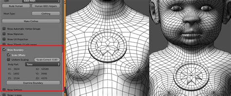 Controlling The Result With Vertex Groups Makehuman Community