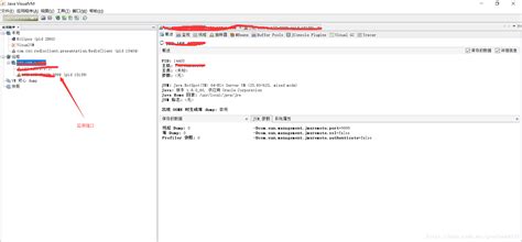 远程监控java应用 Csdn博客
