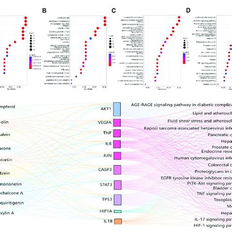Go And Kegg Pathway Enrichment Analysis Results A Bp Enrichment