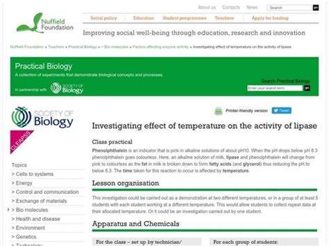 Investigating The Effect Of Temperature On The Activity Of Lipase