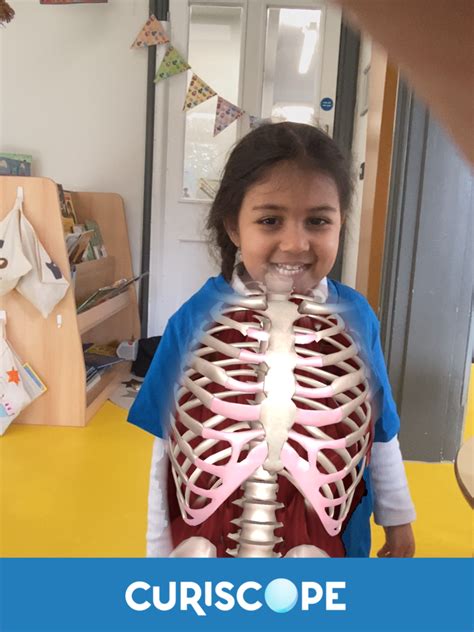 science week gateway