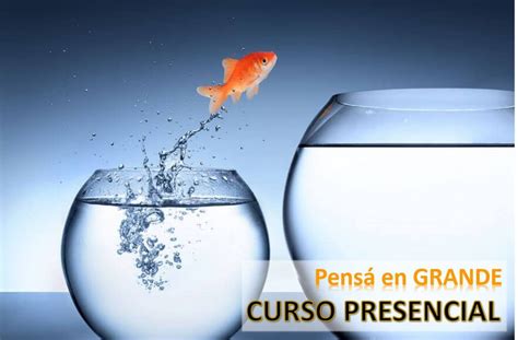 Cursos Ofrecidos Fundacion Saber And Excelencia Integralfundacion Saber