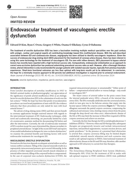 Pdf Endovascular Treatment Of Vasculogenic Erectile Dysfunction