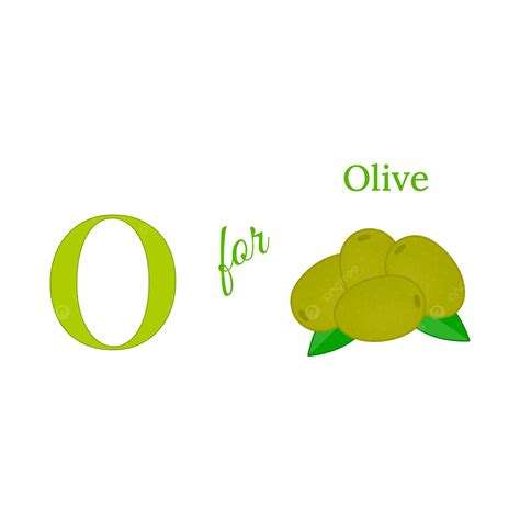 올리브 벡터 일러스트 레이 션에 대 한 영어 알파벳 O 영어 알파벳 O 올리브용 영어 편지 O Png 일러스트 및 벡터