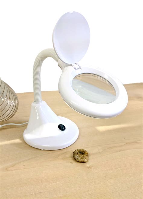 Led Compact Flexi Magnifying Lamp Uk Plug Zoic Palaeotech Limited