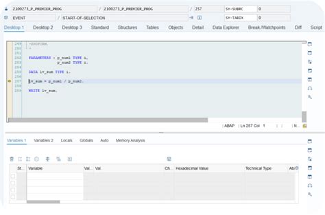 Sap Abap Debugger Guide Sap Training And Coaching