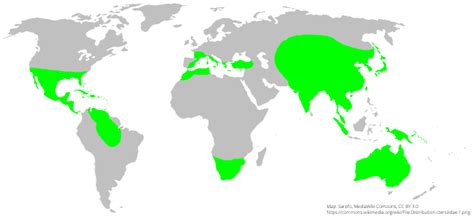 Biogeography Of The Californian Trapdoor Spider Geography Realm
