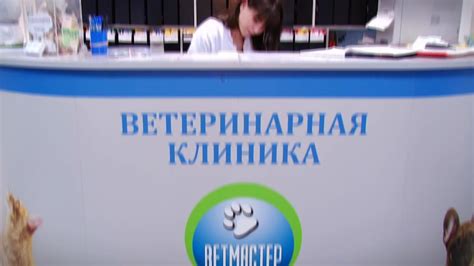 Семейная игра парк развлечений 🎉 Спешим напомнить Вам приятную новость 🎉 Скидка многодетным