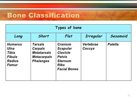 Principles Of A P 1112 Session 3 Function And Classification Of Bon…