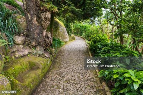 무성 한 숲 및 이끼 덮인 바위를 통해 전달 하는 작은 돌으로 포장 하는 아름 다운 통로 0명에 대한 스톡 사진 및 기타 이미지 0명 경관 관광 Istock