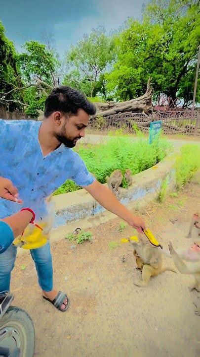 Day57 75dayschallenge Bajrangbali Hanumanji Shortvideo Viralvideo Youtube