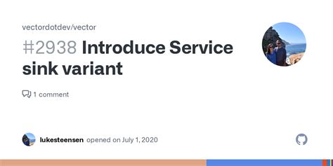 Introduce Service Sink Variant · Issue 2938 · Vectordotdevvector · Github
