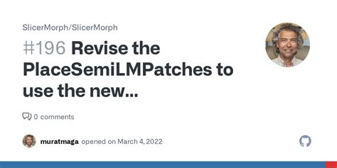 Revise The Placesemilmpatches To Use The New Surfacemarkup Type · Issue