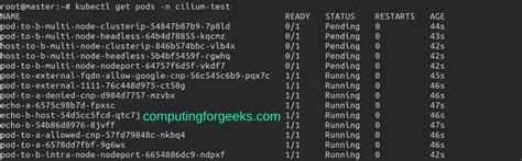 Install And Use Cilium CNI In Your Kubernetes Cluster ComputingForGeeks