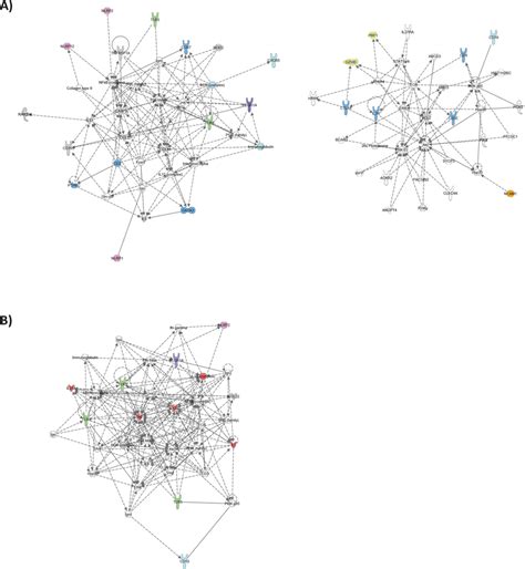 Ipa Network Analysis Ingenuity Pathway Analysis In Hiv Negative
