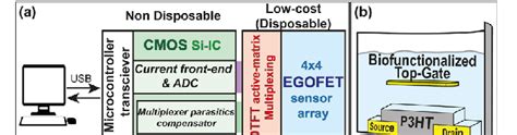 system level architecture of the proposed system a egofet