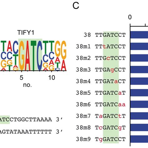 The Results Of The Dpi Elisa Screen Of Wrky33 C Terminal Dna Binding
