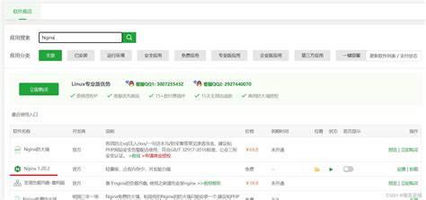Linux服务器上nginx与docker部署前端与后端应用指南 Csdn博客