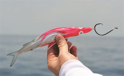 How To Catch Sailfish Fishing World