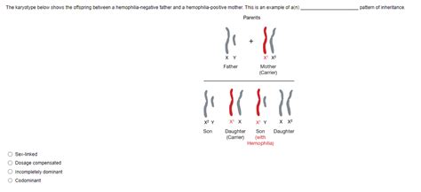 sex linked dosage compensated incompletely dominant