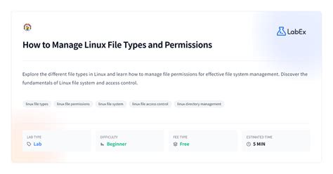 How To Manage Linux File Types And Permissions Labex