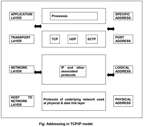 Addressing In Tcpip Model Examradar