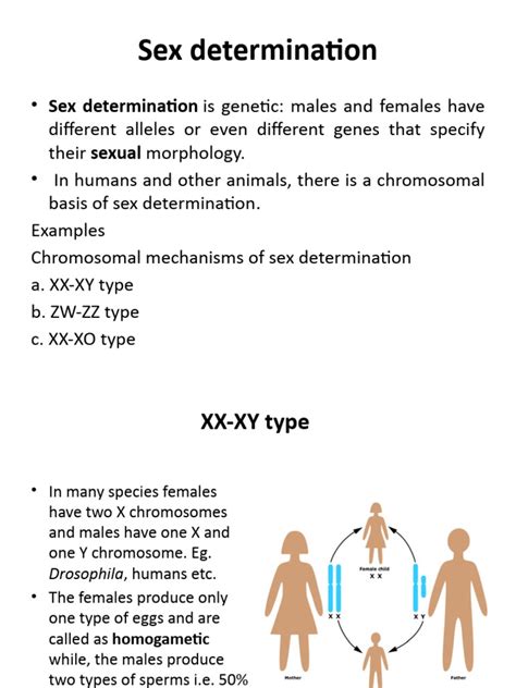 Topic 4 Sex Determination 1 Pdf Sex Male Topic 4 Sex Determination 1 Pdf Sex Male