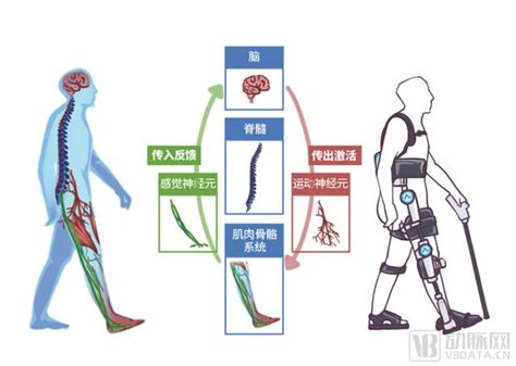 Ai康复”成行业新风向，机器人智能化道路上安杰莱怎么做？中金在线财经号