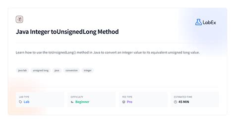 Convert Integer To Unsigned Long In Java Labex