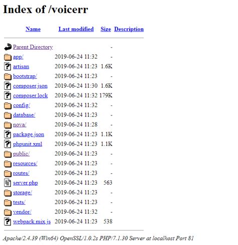 Laravel I Am Trying To Open Nova And Getting Directories Instead Of