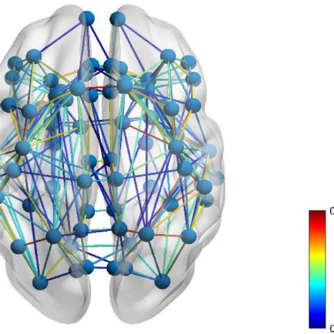 Pdf Towards Simulations Of Long Term Behavior Of Neural Networks Modeling Synaptic Plasticity
