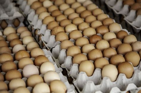 Како најбрзо да проверите дали јајцата се свежи Стар ама корисен трик ОСОБЕНО ПРЕД ВЕЛИГДЕН