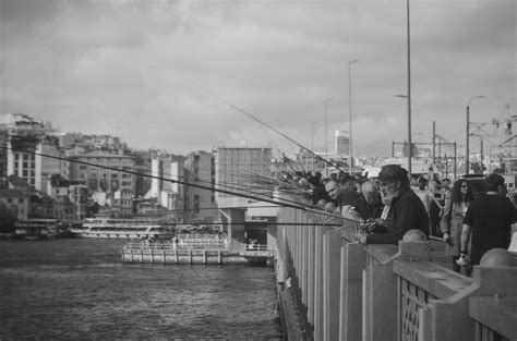 Spider Man Cartoon Photos Download The Best Free Spider Man Cartoon